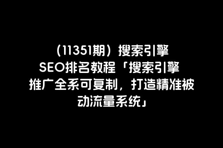 （11351期）搜索引擎 SEO排名教程「搜索引擎 推广全系可复制，打造精准被动流量系统」