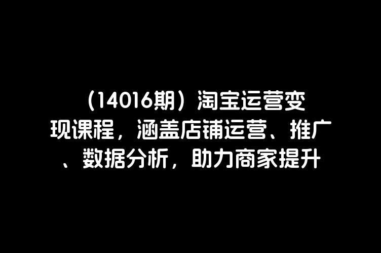 （14016期）淘宝运营变现课程，涵盖店铺运营、推广、数据分析，助力商家提升